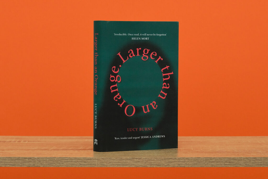 Abortion Poems From Baby Point Of View